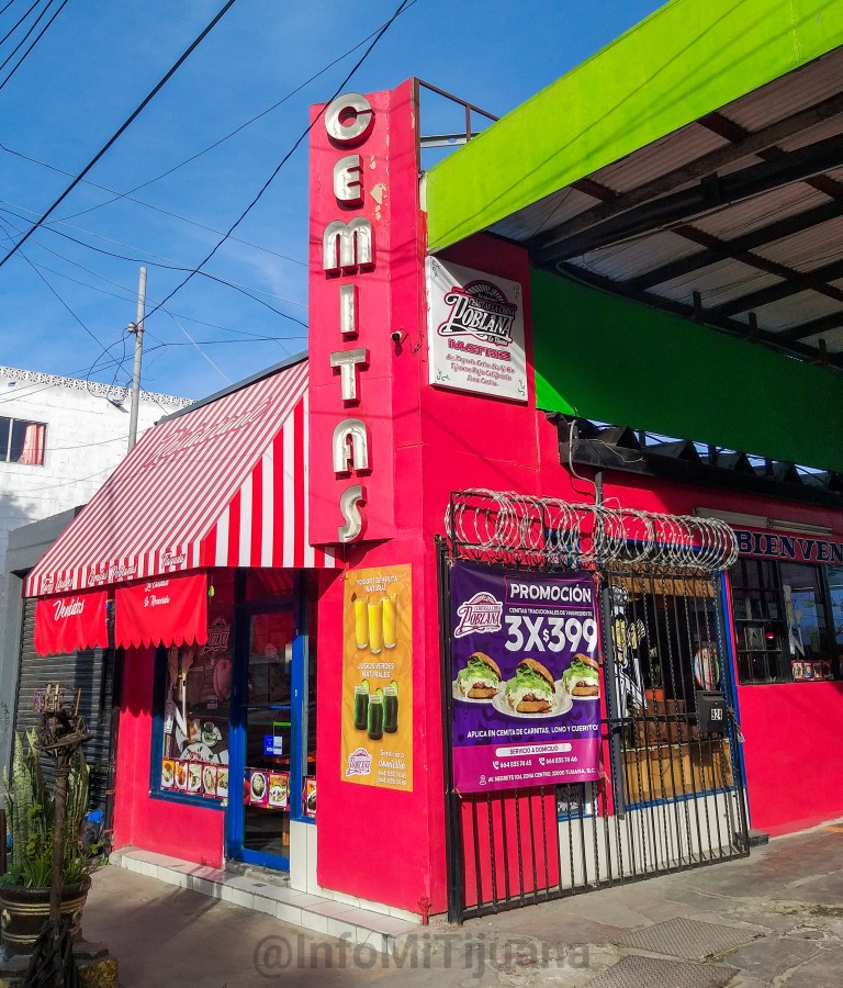 🌻 Mictlán Tijuana abre su temporada de girasoles: el campo floral que ...