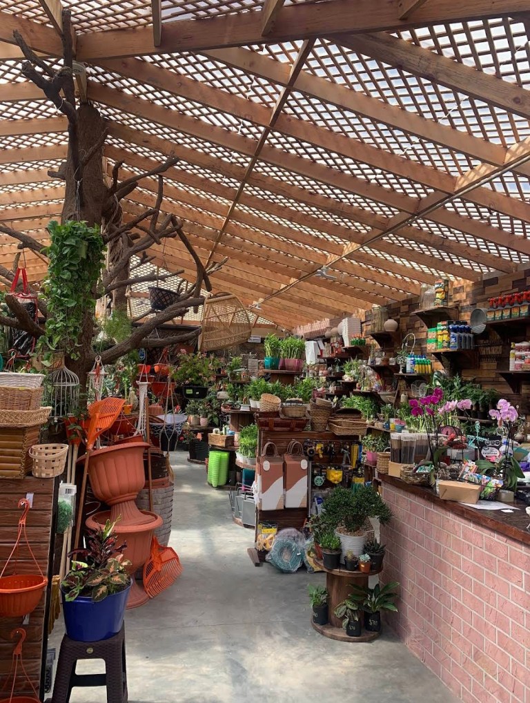 ☕ 5 cafeterías en Tijuana que tienes que visitar si amas el café… y los ...