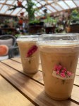 ☕ 5 cafeterías en Tijuana que tienes que visitar si amas el café… y los ...